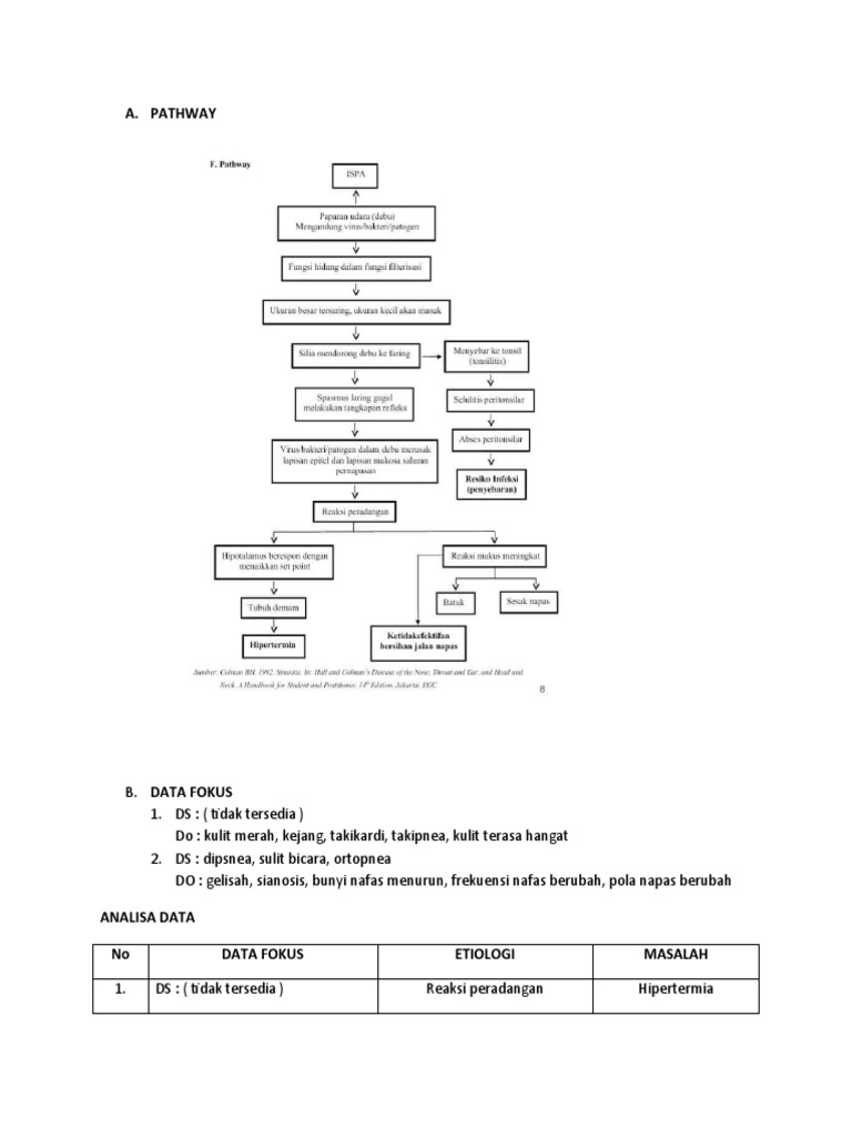 Pathway Wps Office | PDF