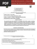 Informe de Aprendizaje Nivel Primario 2023-2024 | PDF