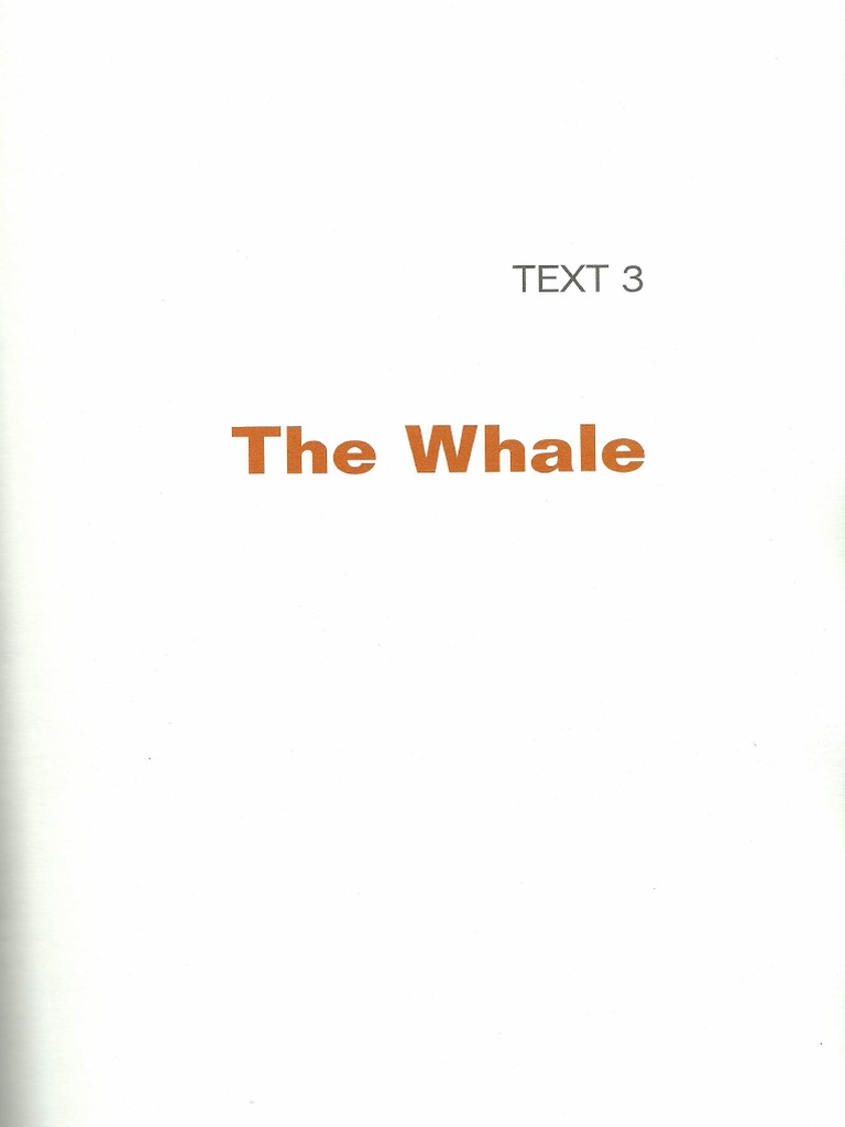 Text 3 The Whale | PDF