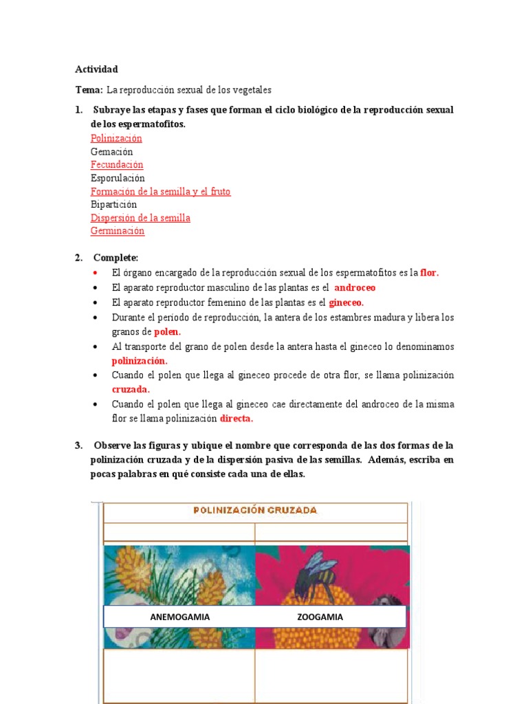 Reproduccion Sexual de Los Vegetales | PDF | Flores | Polen
