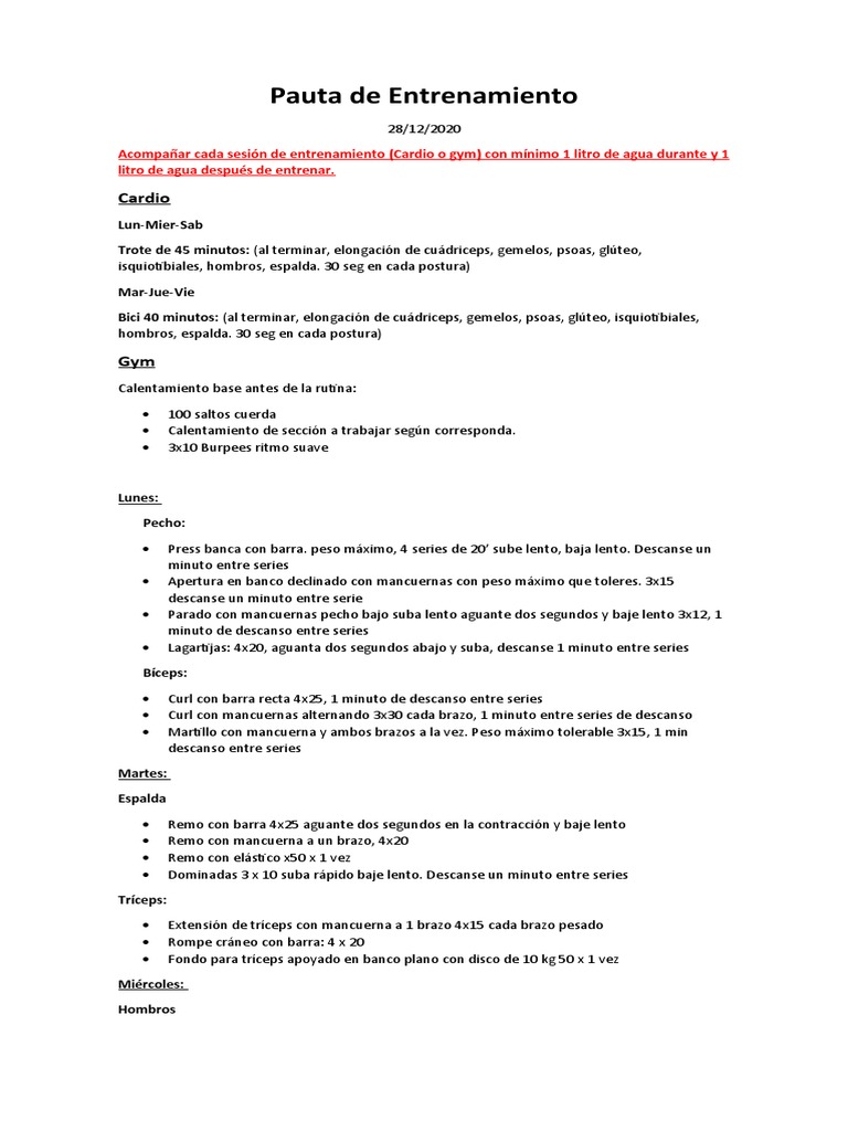 Pauta de Entrenamiento | PDF | Salud y bienestar