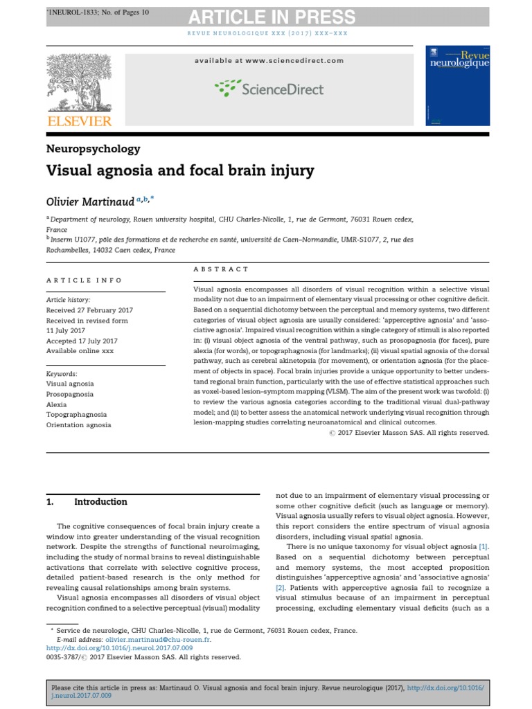 Martinaud2017 - Visual Agnosia and Focal Brain Injury | PDF | Parietal ...
