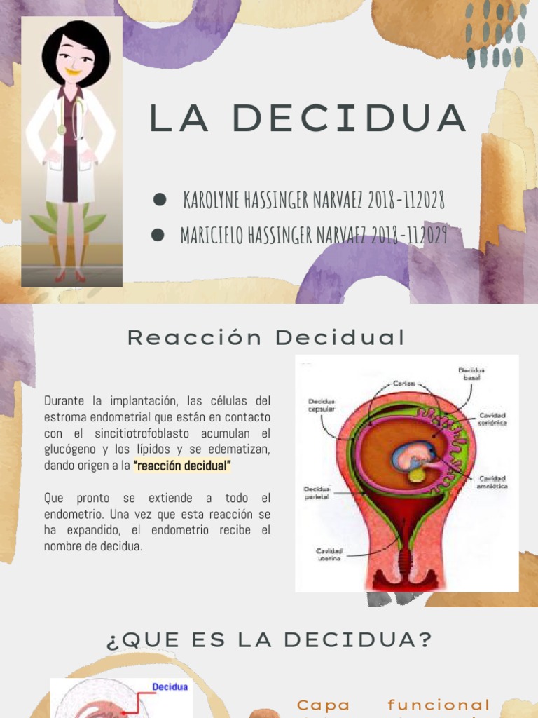 Tipos y Funciones de la Decidua | PDF | Placenta | Embarazo humano