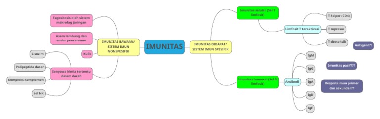 Mind Map Imunitas | PDF