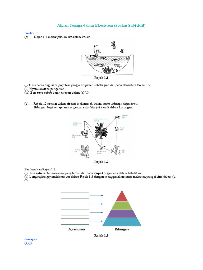 Aliran Tenaga Dalam Ekosistem | PDF