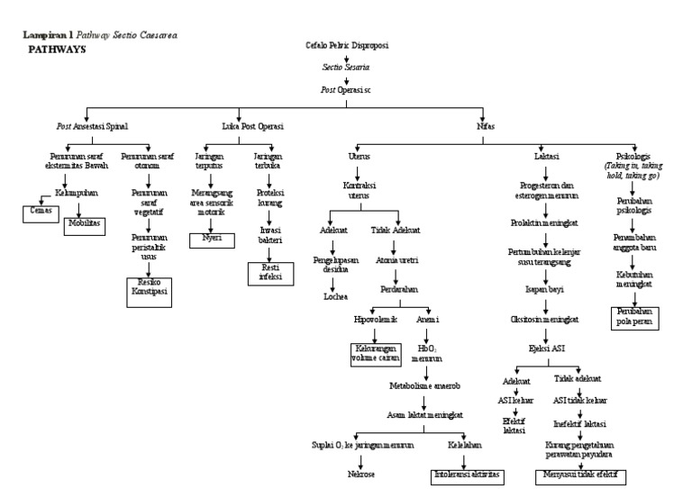 Lampiran 1 Pathway Sectio Caesarea | PDF