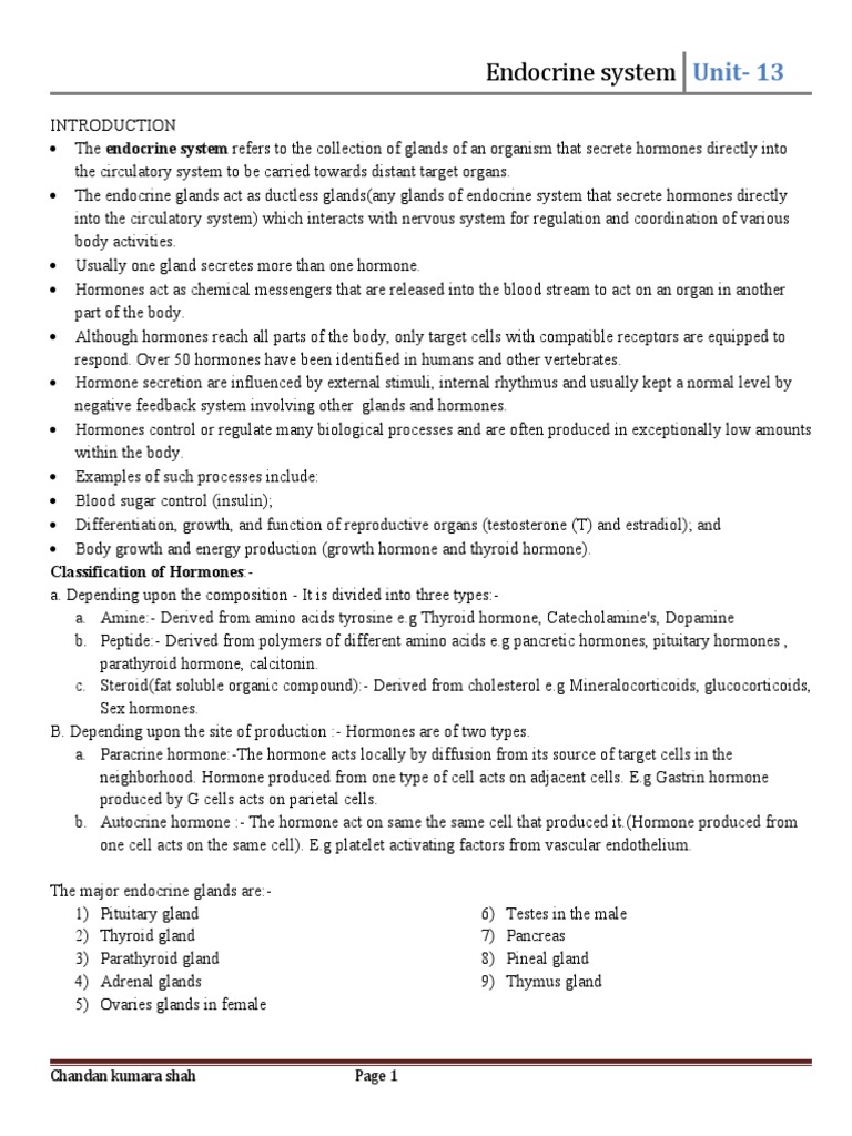 Unit 13 Endocrine System | PDF | Adrenal Gland | Endocrine System