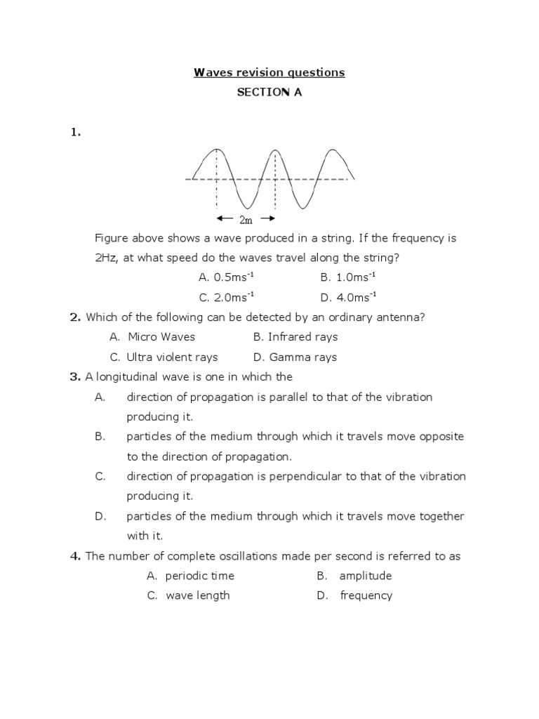 Grade 9 Waves Revision Questions | PDF | Waves | Wavelength