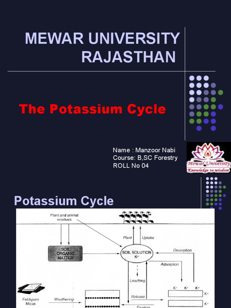 Potassium Cycle | PDF | Soil | Potassium Chloride