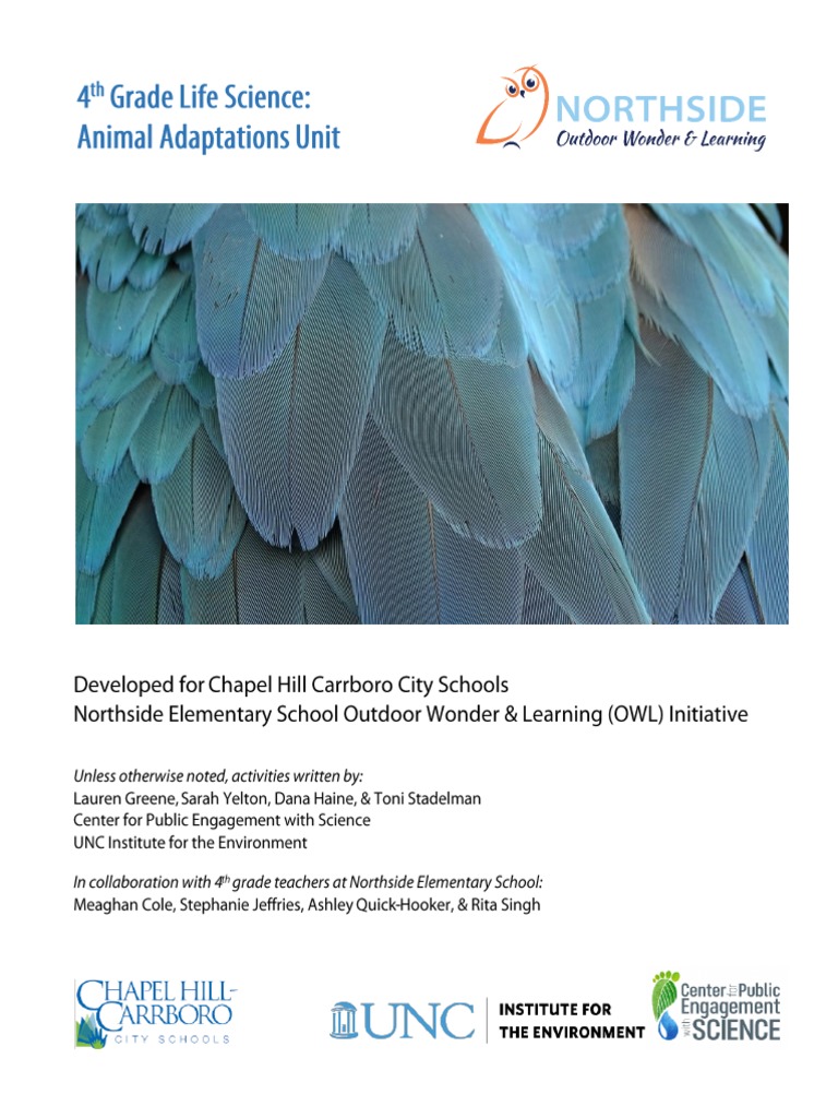 4th Grade Animal Adaptations Final Version | PDF | Natural Environment ...