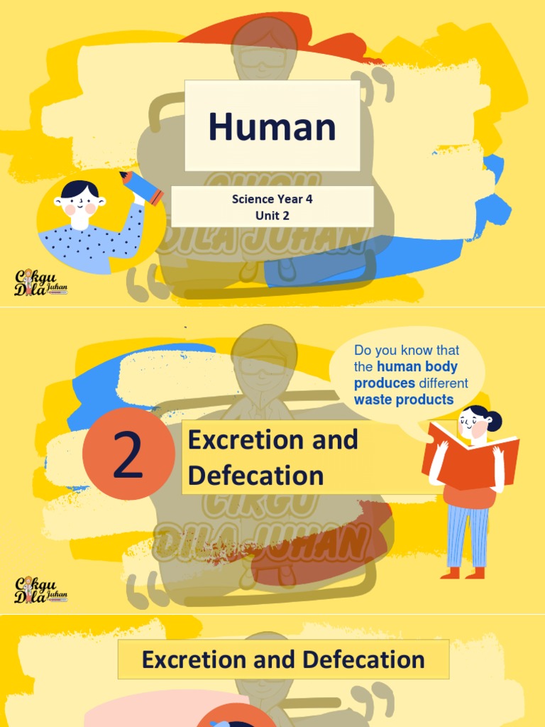 Science Year 4, Unit 2 Human (Human Excretion and Defecation) New | PDF ...