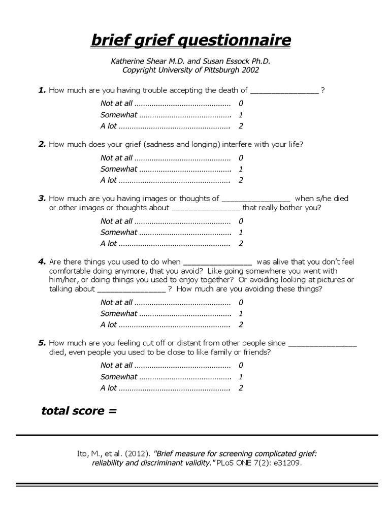Assessment, Grief Brief | PDF | Grief | Self Report Study