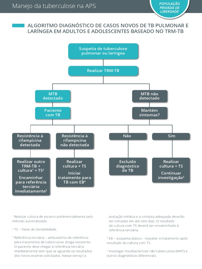 Algoritmos TRM TB | PDF | Tuberculose | Remédio