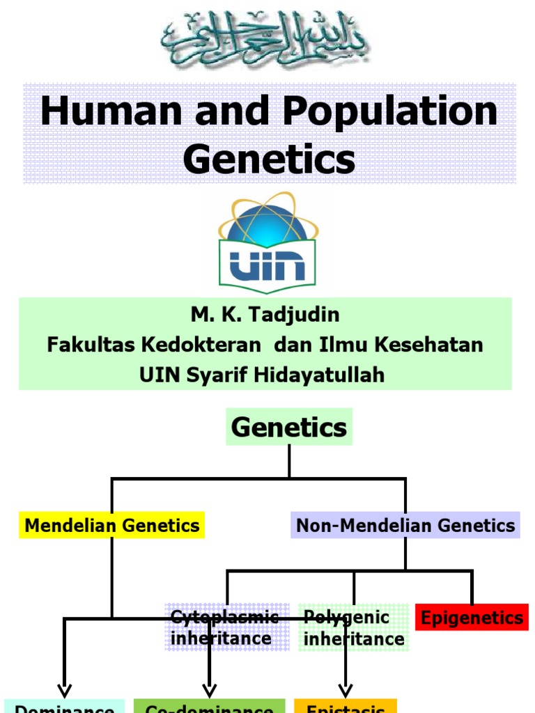 Human and Population Genetics: M. K. Tadjudin Fakultas Kedokteran Dan ...
