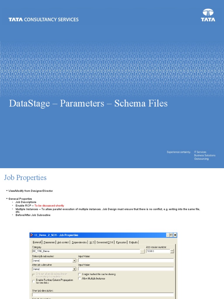 Datastage Parameters Schema Files Pdf Parameter Computer Programming Computer File