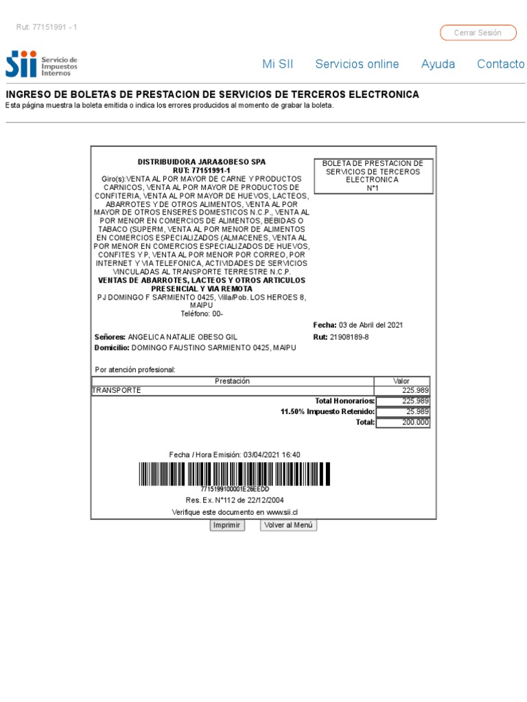Boleta Electronica Transporte | PDF | Industrias de servicio | Economias