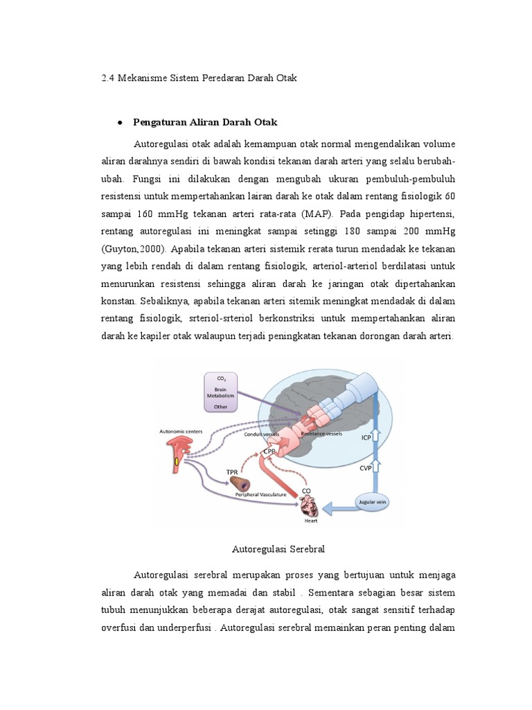 Mekanisme Sistem Peredaran Darah Otak | PDF