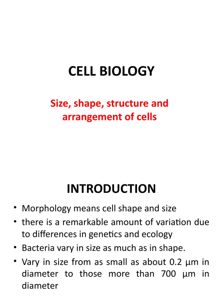 Cell Biology: Size, Shape, Structure and Arrangement of Cells | PDF ...