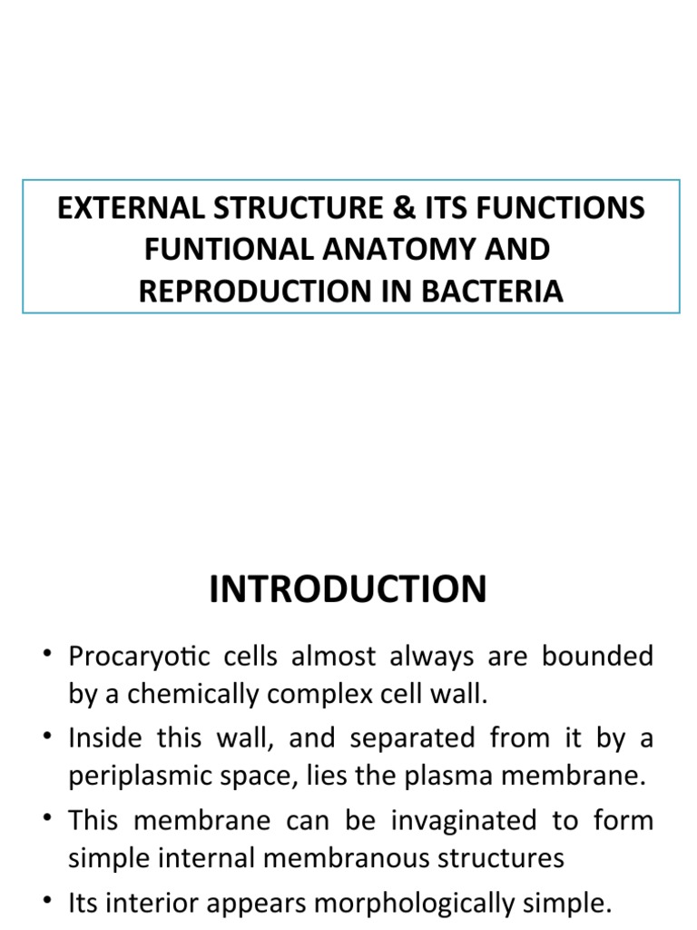 External Structure & Its Functions Funtional Anatomy and Reproduction ...