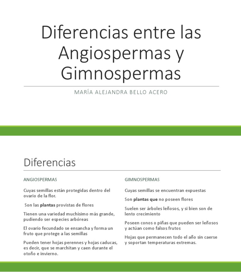 Diferencias Entre Las Angiospermas y Gimnospermas | PDF
