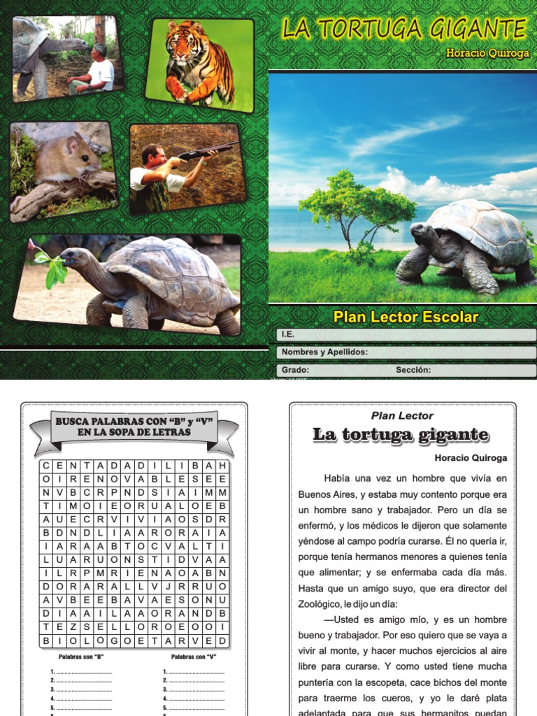 La Tortuga | PDF