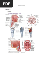 MedSLPCollective Handout Vocal Function Exercises | PDF | Human Voice ...
