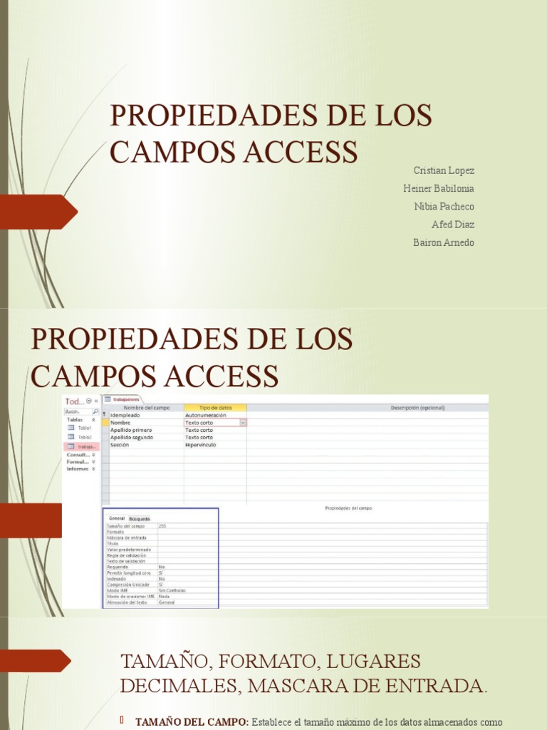 Propiedades de Campos en Access | PDF | Ventana (informática) | Tipo de datos