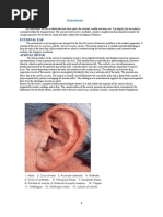 Table 1, The RoPE Score and PASCAL Classifications - Evaluating ...