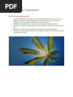 Anet Pozitive Dhe Negative Te Energjise Berthamore | PDF