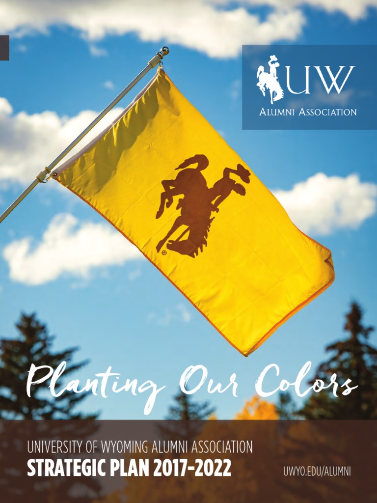 Alumni Strategic Plan v10 Online | Download Free PDF | Mentorship ...