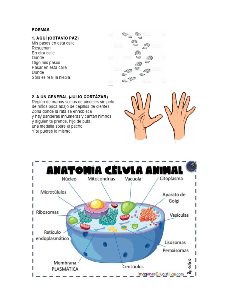 POEMAS | PDF | Biología Celular) | Citoplasma