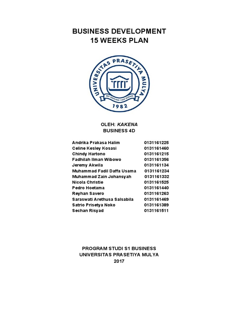 15 Weeks Plan - Business Development | PDF