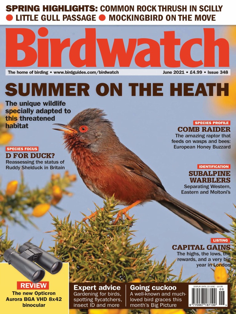 Birdwatch UK June 2021 | PDF