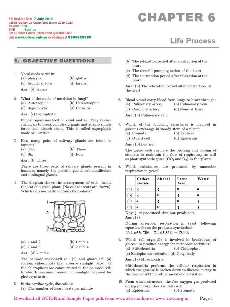 Life Process: 1. Objective Questions | PDF | Atrium (Heart) | Ventricle ...