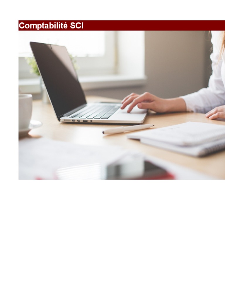 Comptabilité SCI Excel | PDF | Trésor
