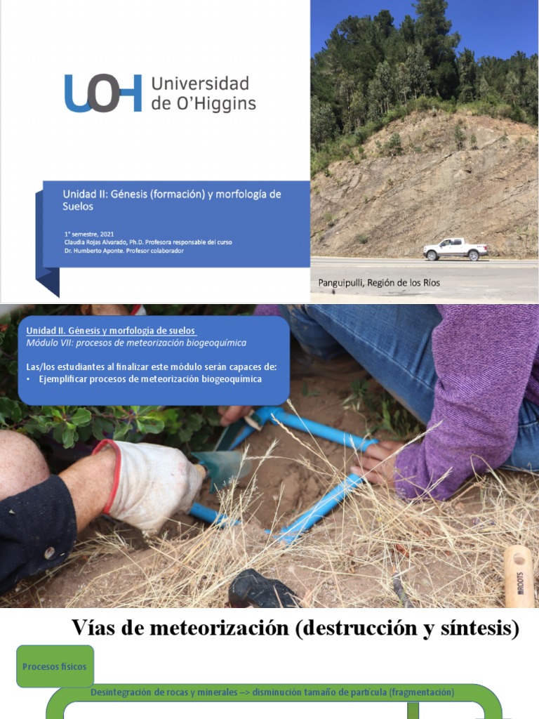 M Dulo 5 Meteorizaci N Biogeoqu Mica 07.04.2021 | PDF | Minerales | Roca (geología)