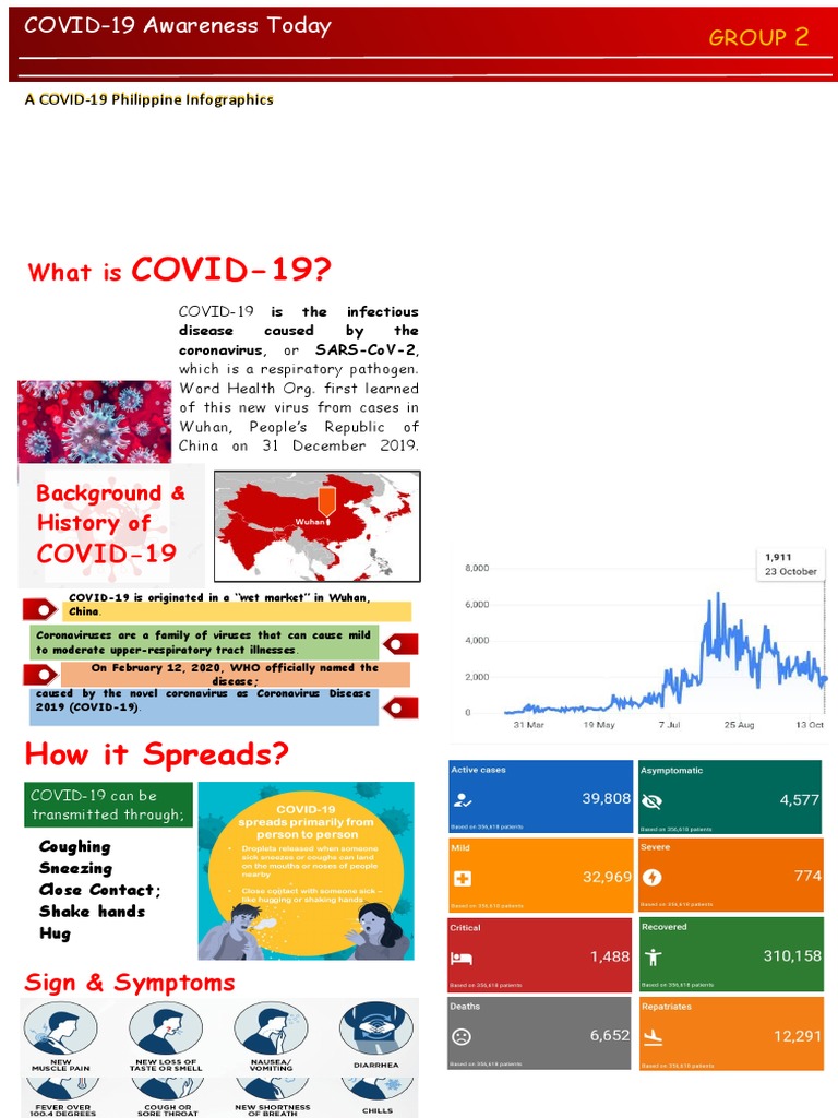 Digital Infographics Sample About COVID19 | PDF