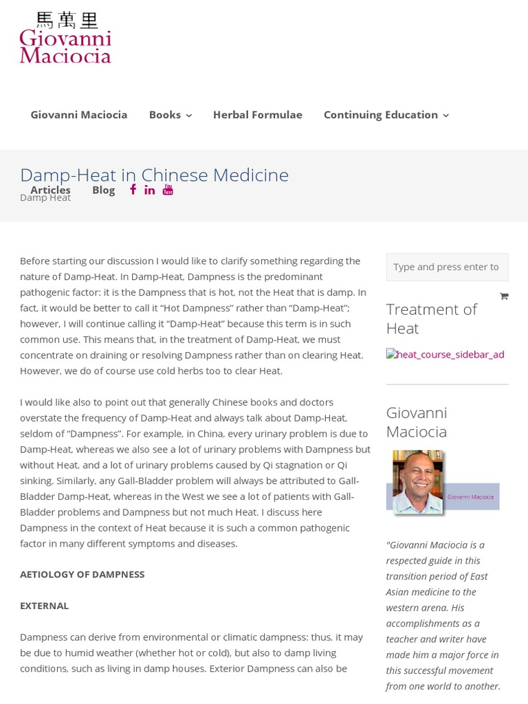 Damp-Heat in Chinese Medicine | PDF | Traditional Chinese Medicine ...