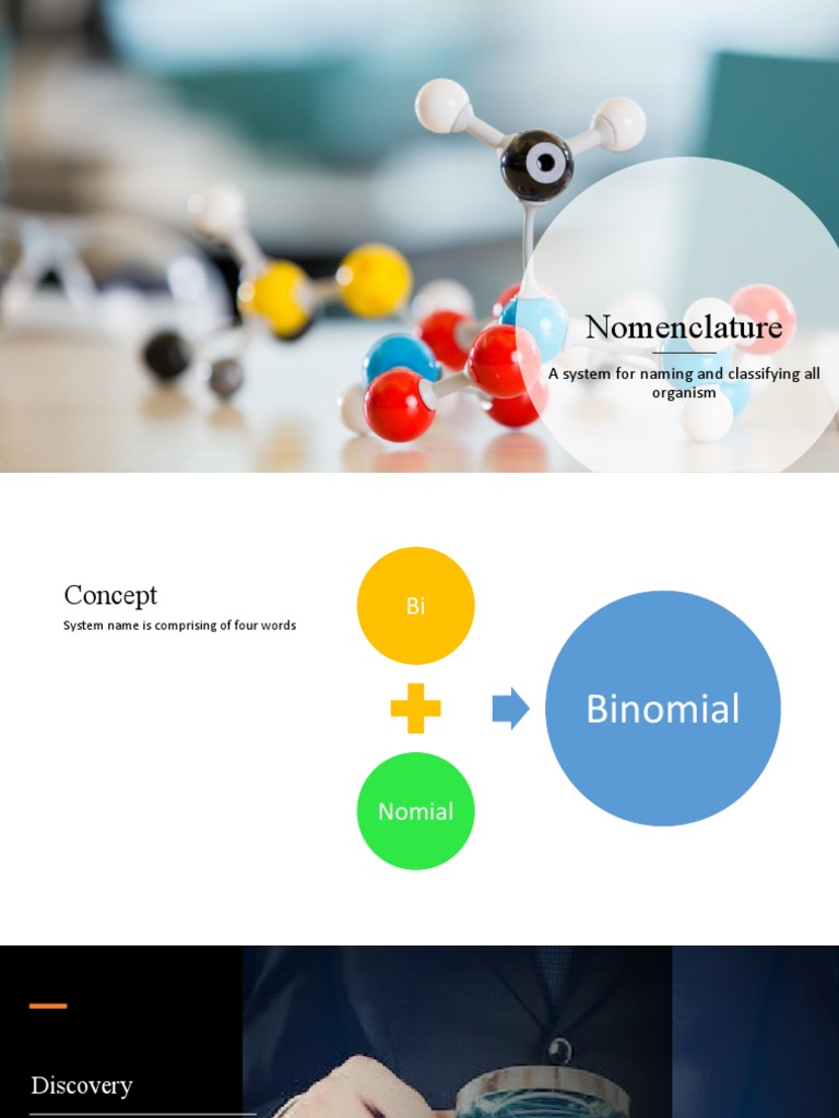 A Systematic Approach: The History and Significance of Binomial ...