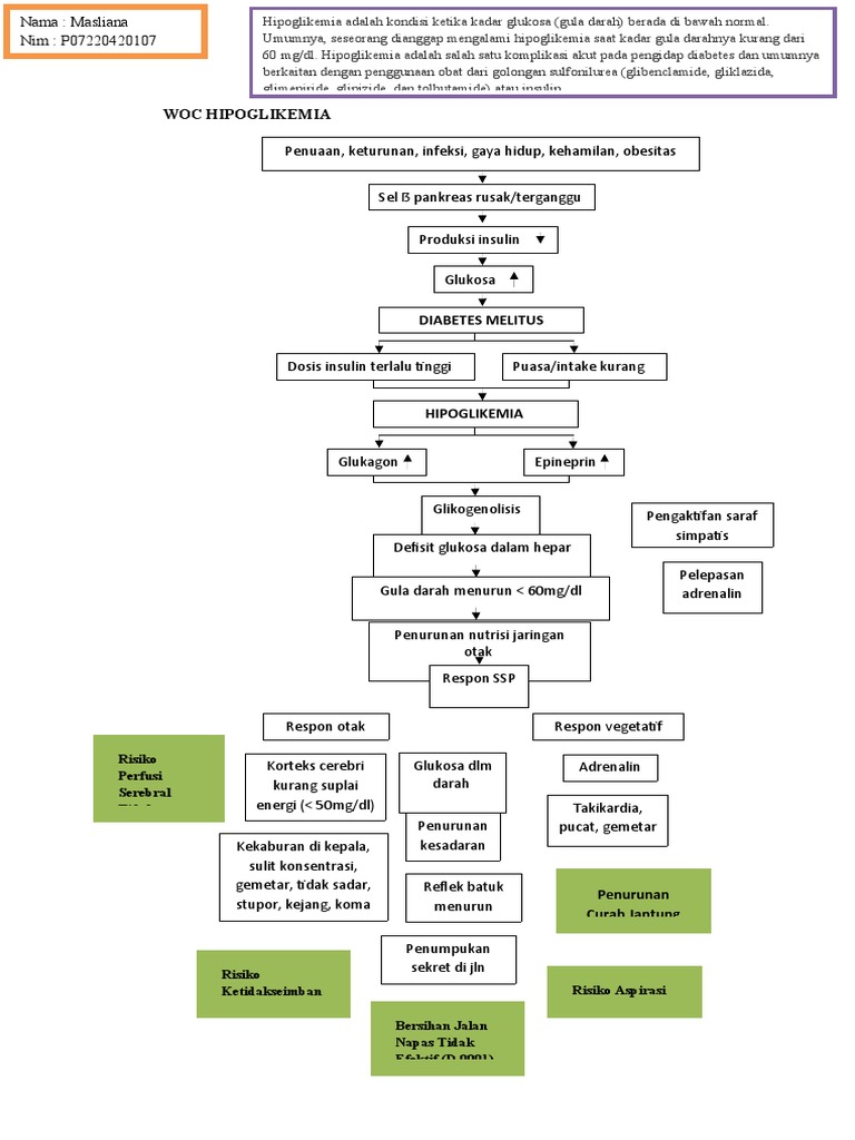 Woc HiPogLikeMia | PDF