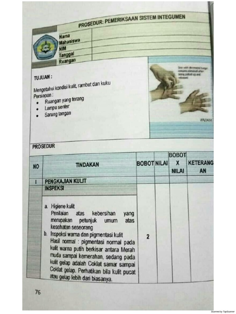 TapScanner Document Scan Overview | PDF