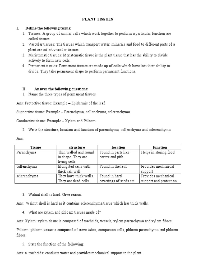 plant-tissue-notes-pdf-tissue-biology-histology