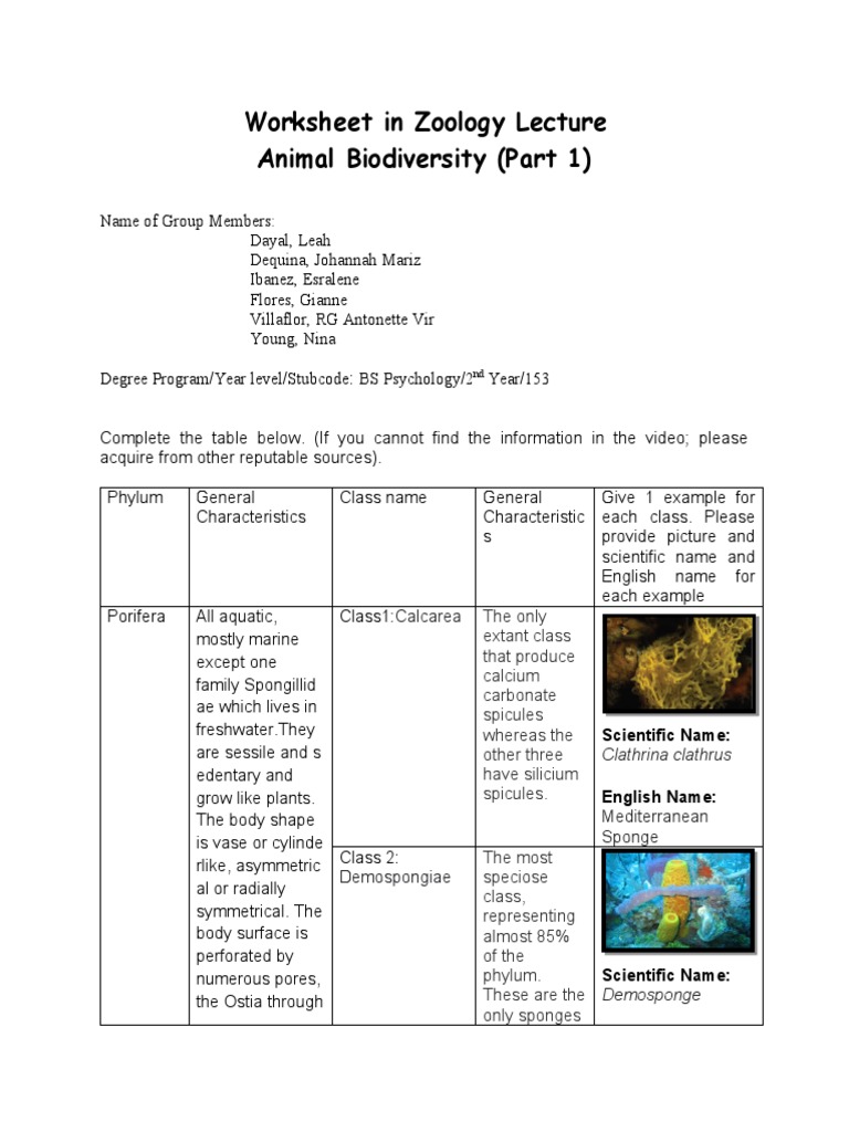Animal Biodiversity Worksheet Answers | PDF | Sponge | Organisms