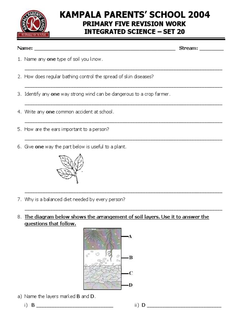 Primary Five - Set 20 | PDF