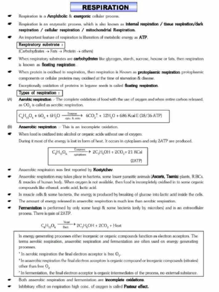Aerobic and Anaerobic Respiration | PDF | Cellular Respiration | Chemistry