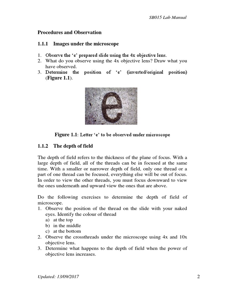 Observing the Letter 'E' Under Microscope | PDF | Microscope | Lenses