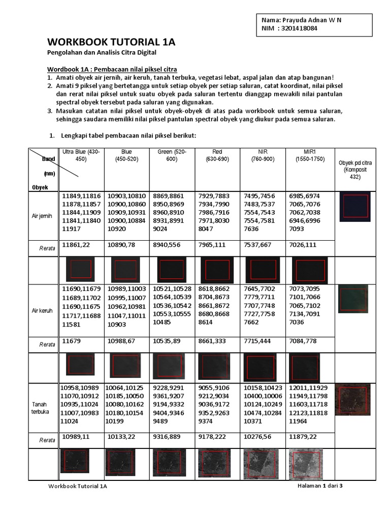 Workbook 1A - Respon Spektral Obyek (Band) | PDF