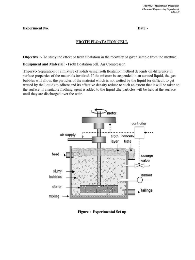 Experiment No.2 Froth Flotation | PDF | Foam | Liquids