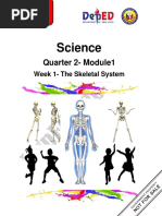 Body Systems (Grade 6) - Free Printable Tests and Worksheets ...