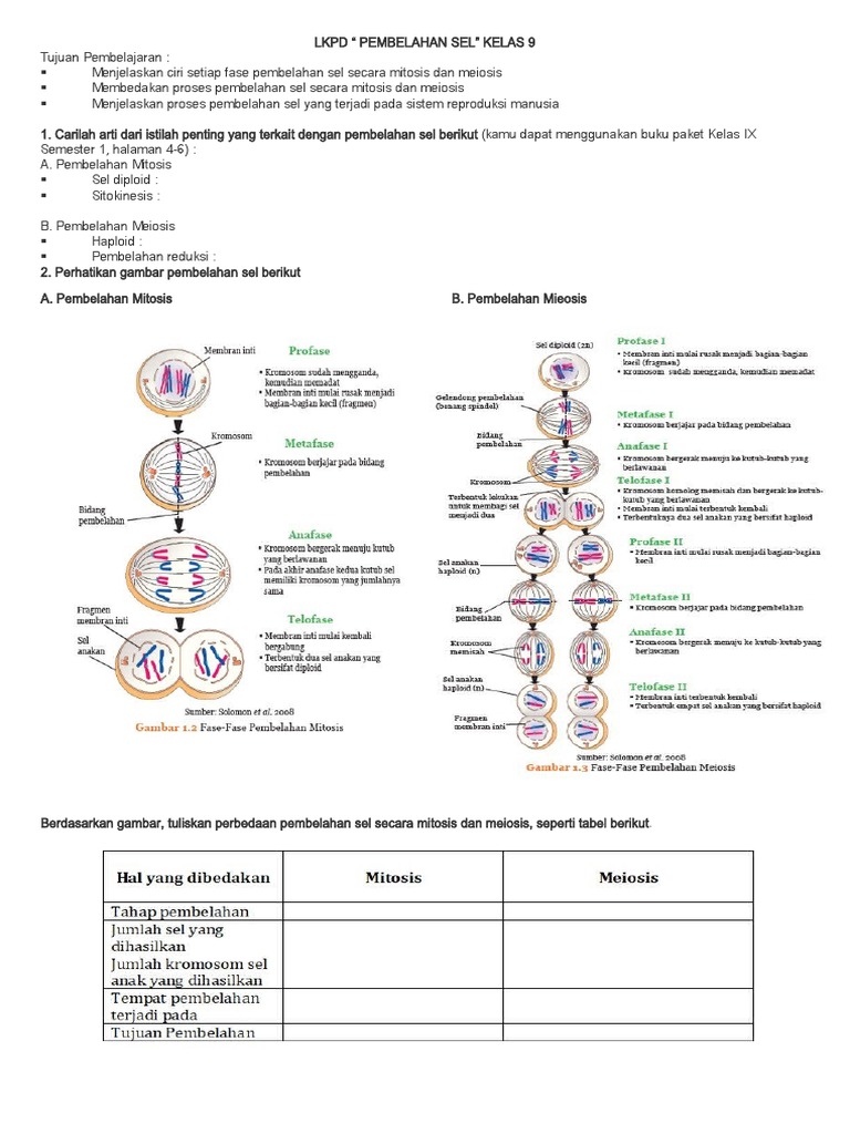 LKS Pembelahan Sel | PDF